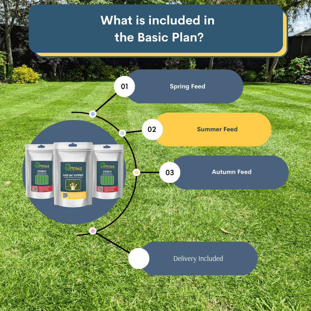DIY Lawn Care Subscriptions by Mowd